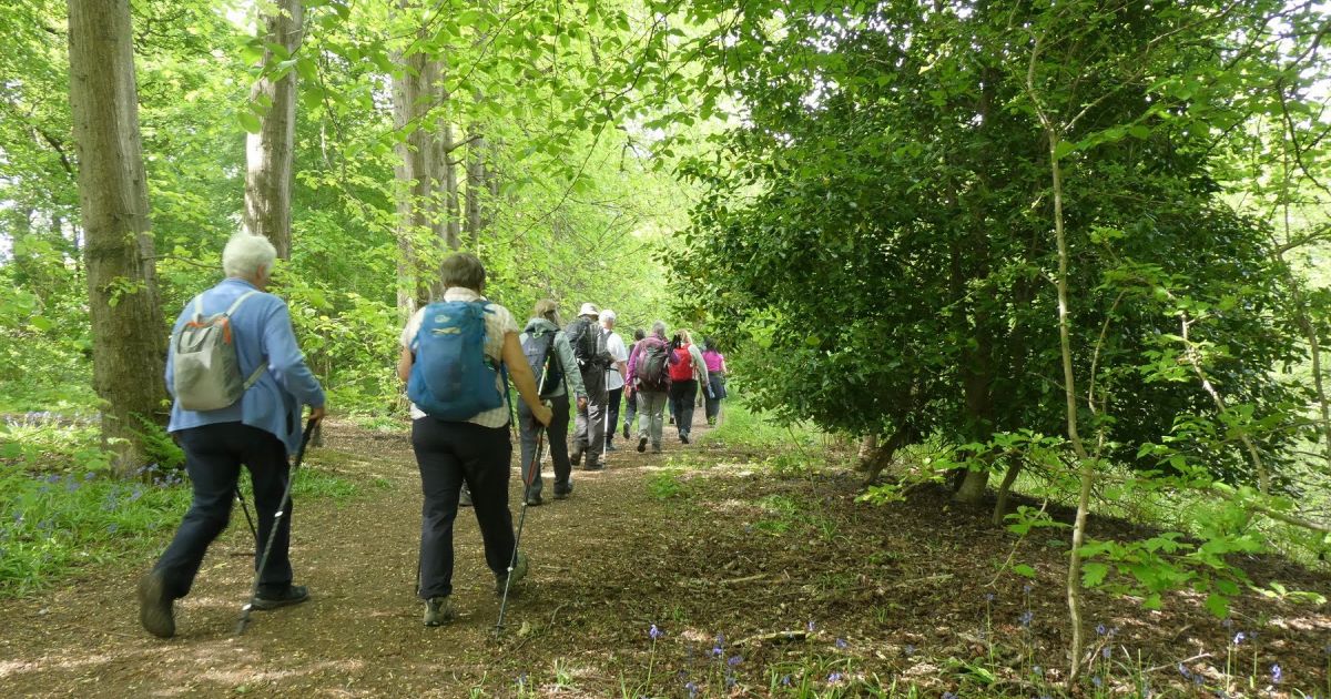 Drumpelier Park and Loch circular - Ramblers